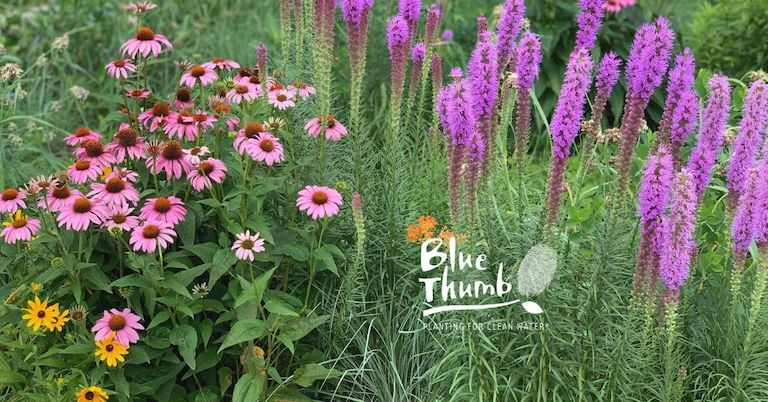 Partnership Information – Blue Thumb