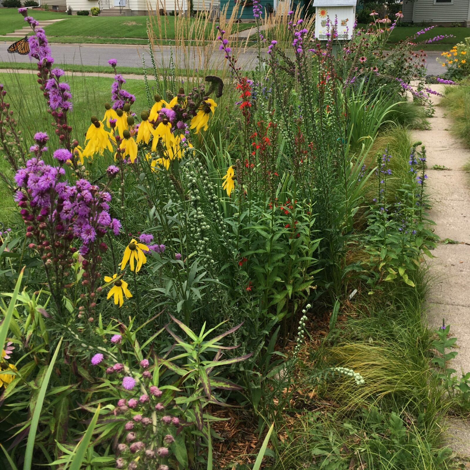 Resources – Blue Thumb