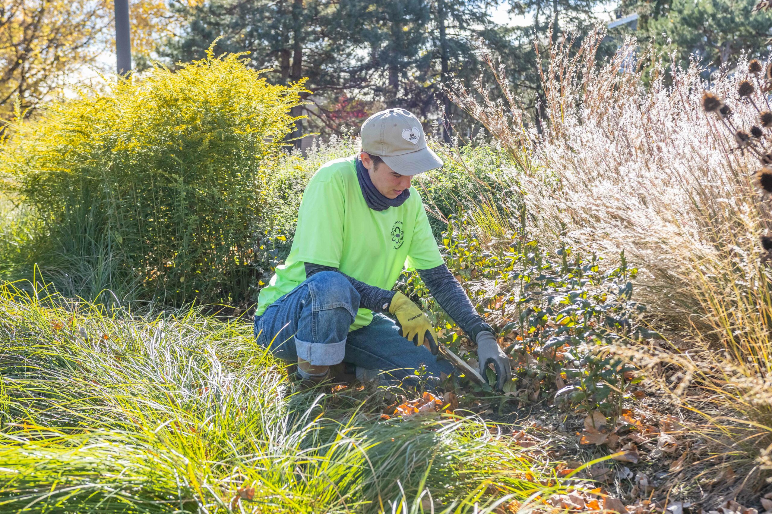 Managing Weeds in Pollinator Gardens – Blue Thumb