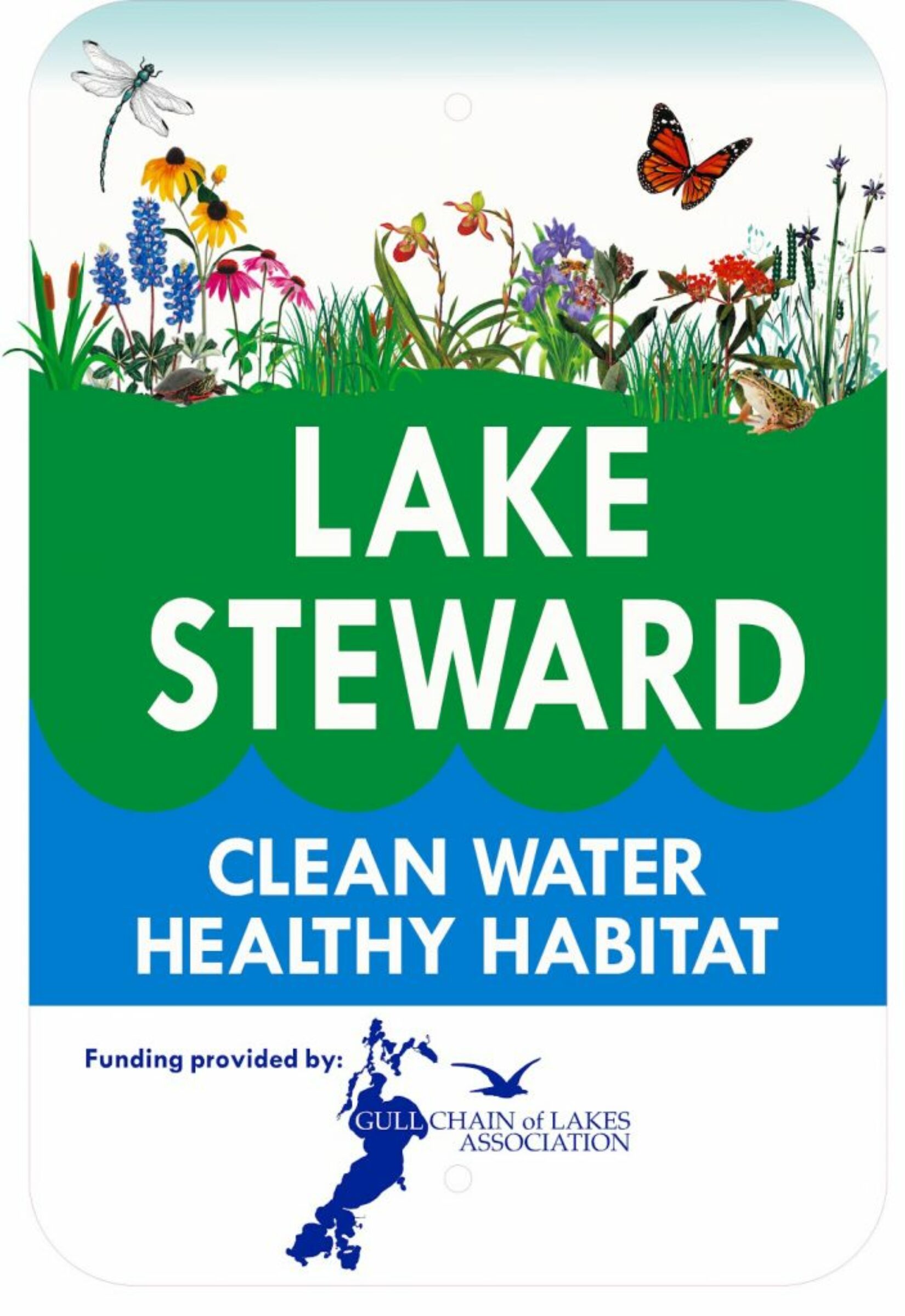 Saving Minnesota’s Natural Shorelines – Blue Thumb