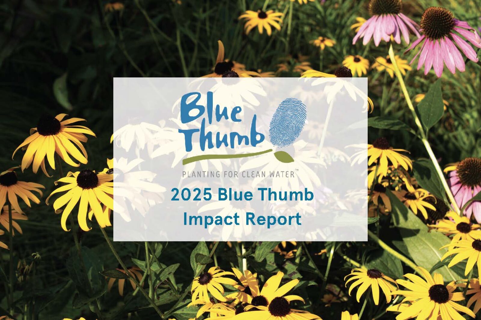 Blue Thumb – Planting for Clean Water®